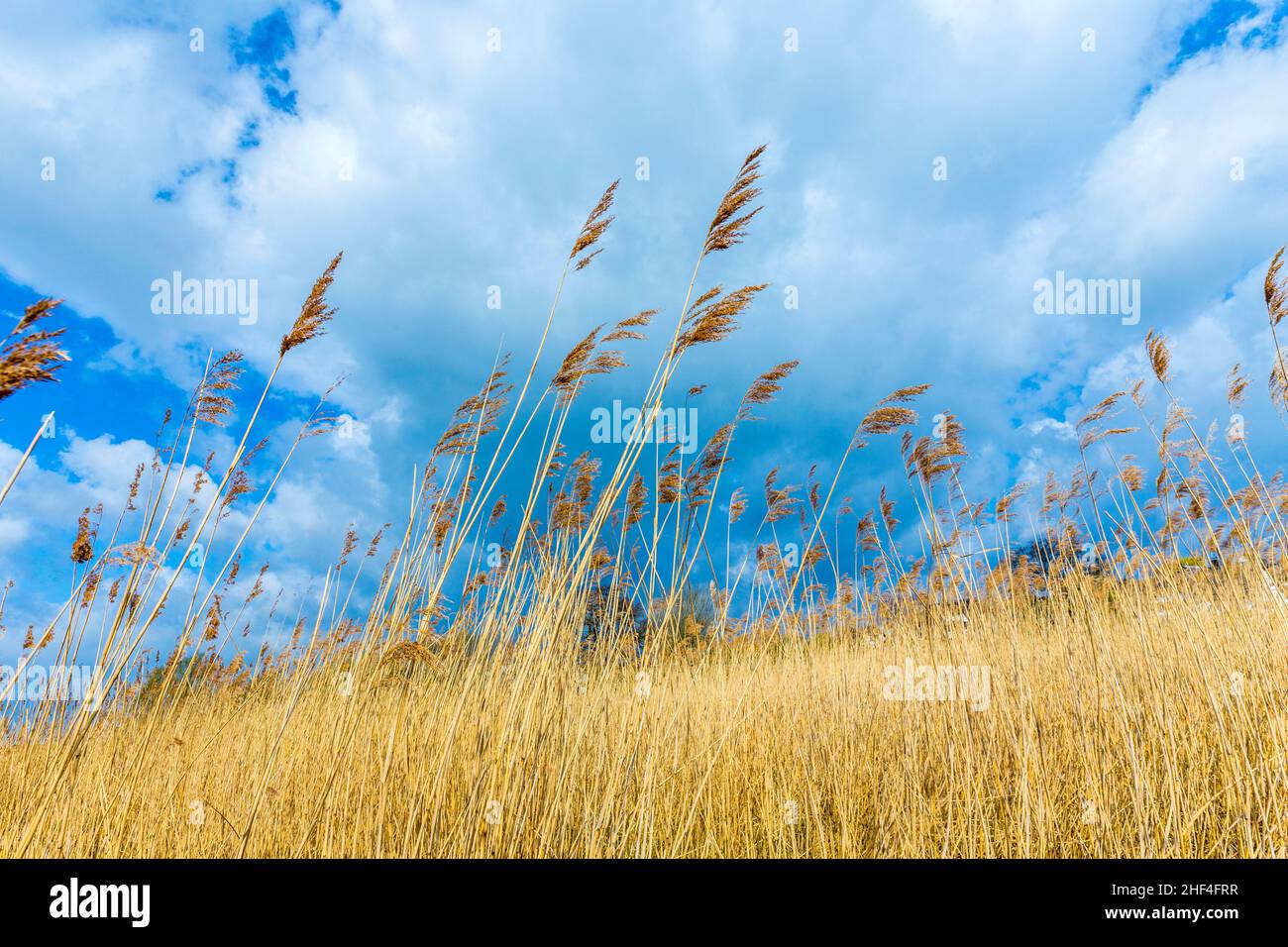 Countryside lake below cloudy sky cloud hi-res stock photography and ...