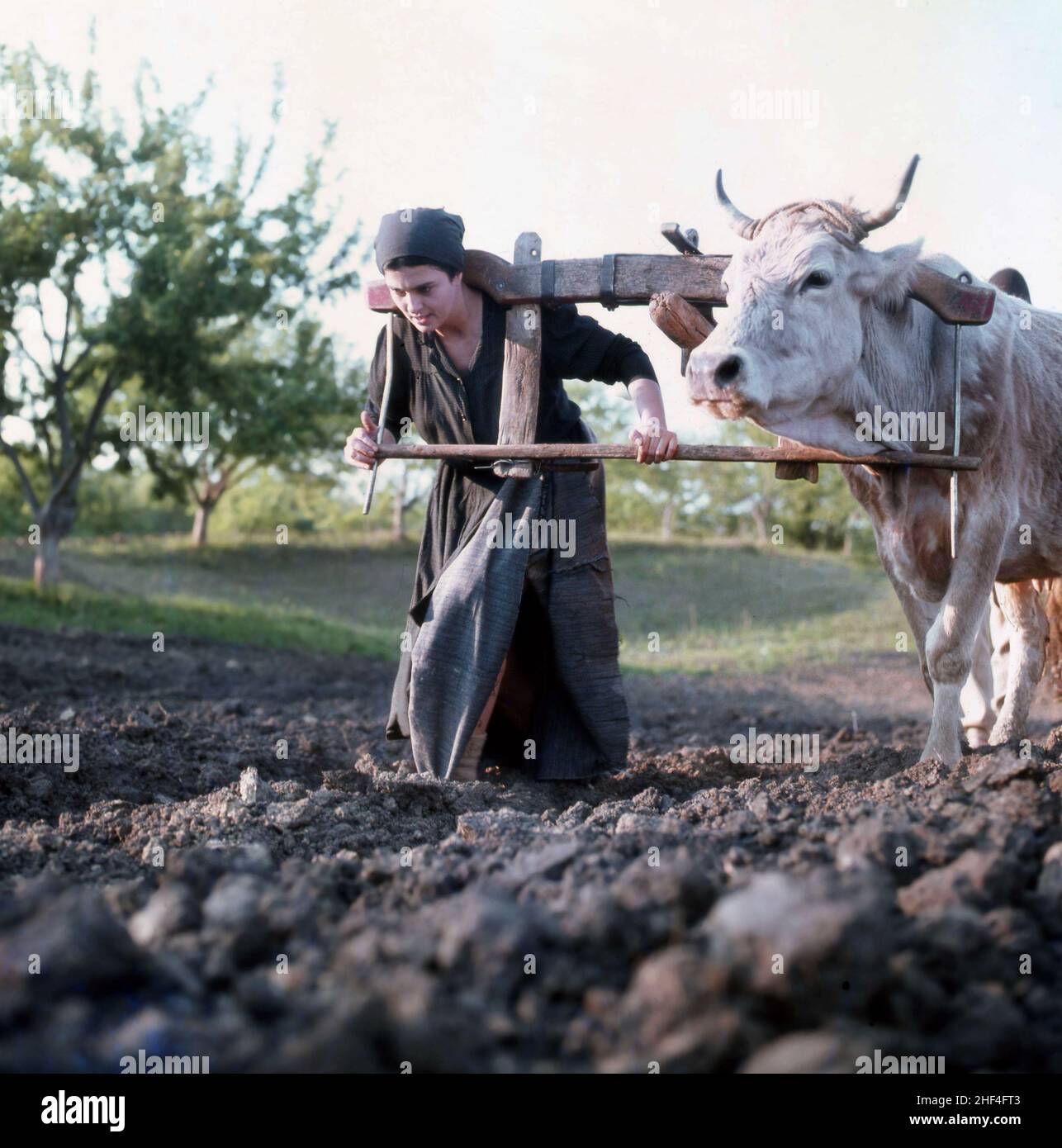 The Romanian actress Florina Luican during the shooting of the movie ...