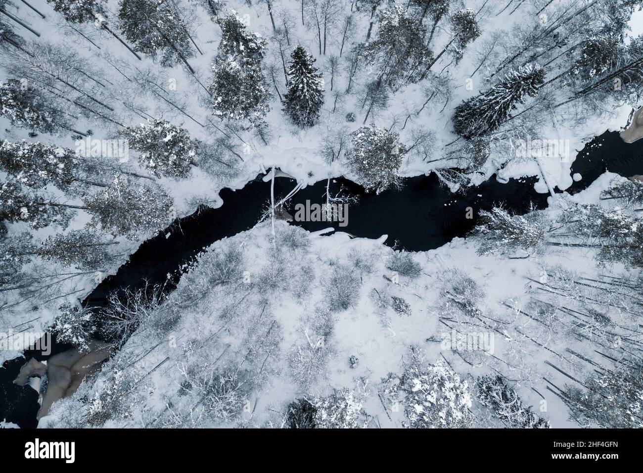 Aerial top view frozen forest hi-res stock photography and images - Alamy