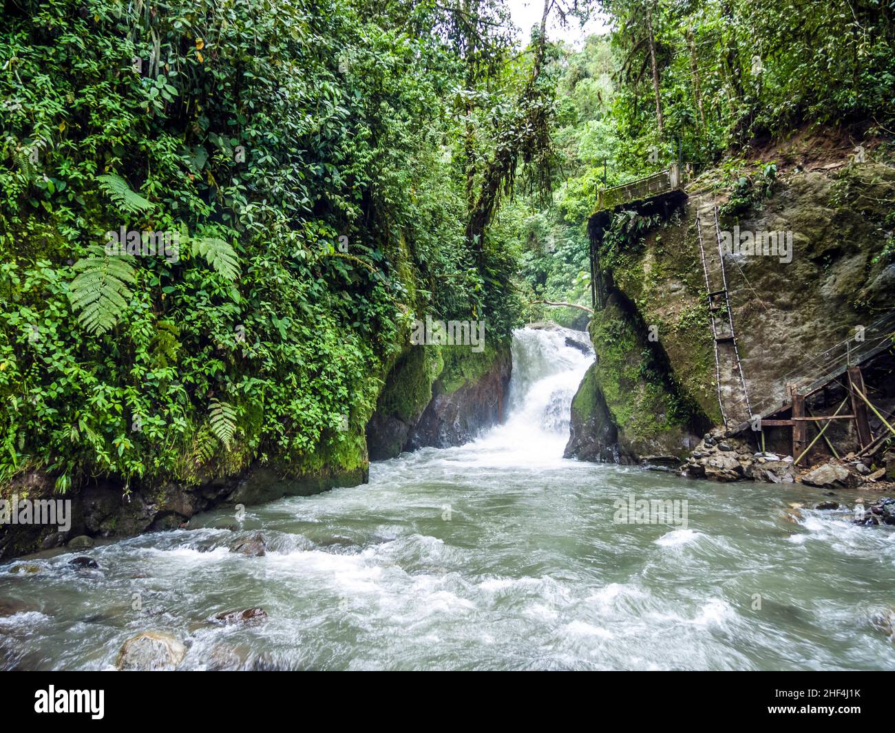 Rio Mindo, western Ecuador, river running through cloudforest at 1,400m ...