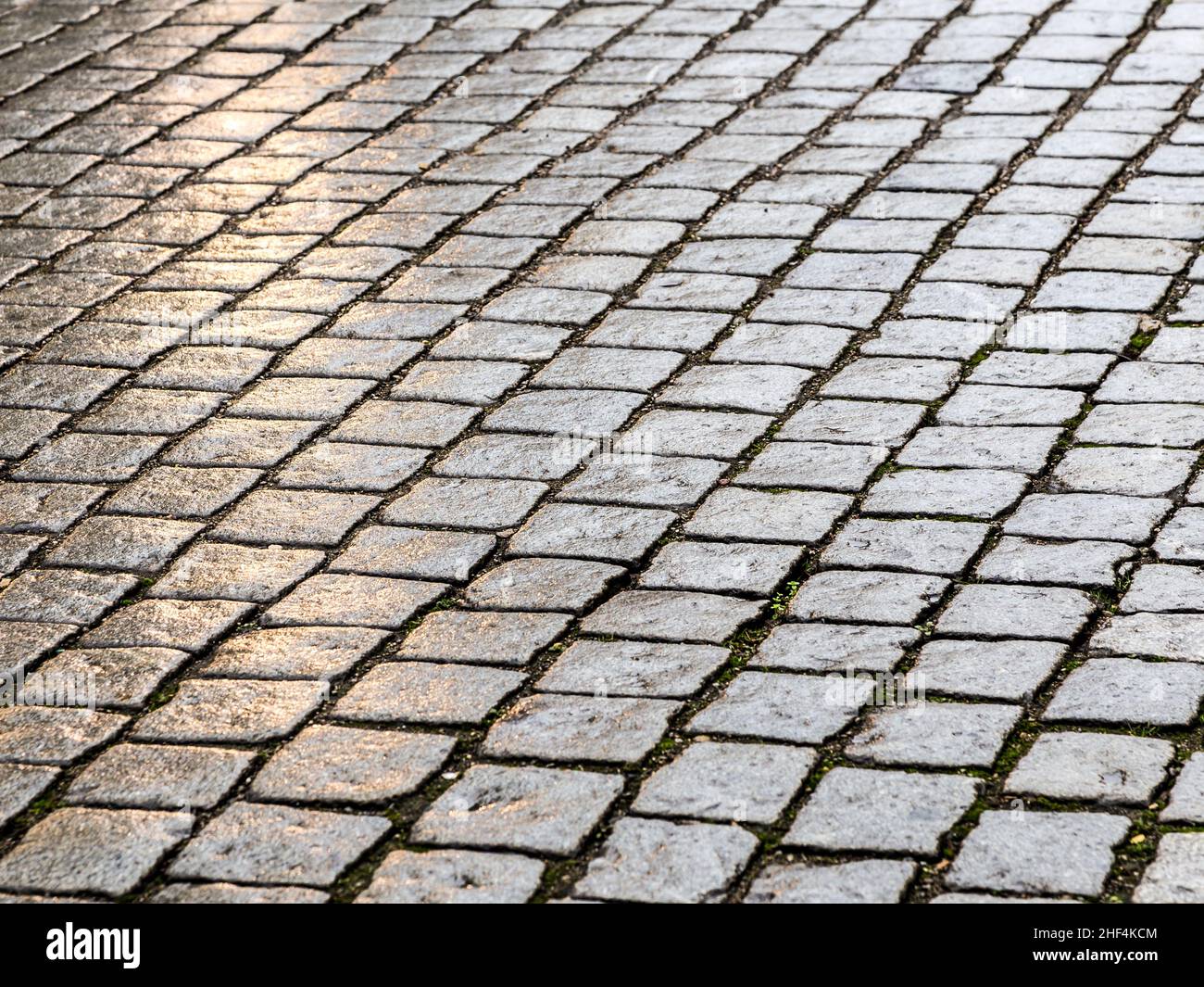 detail of wet cobblestone path with light reflections Stock Photo - Alamy