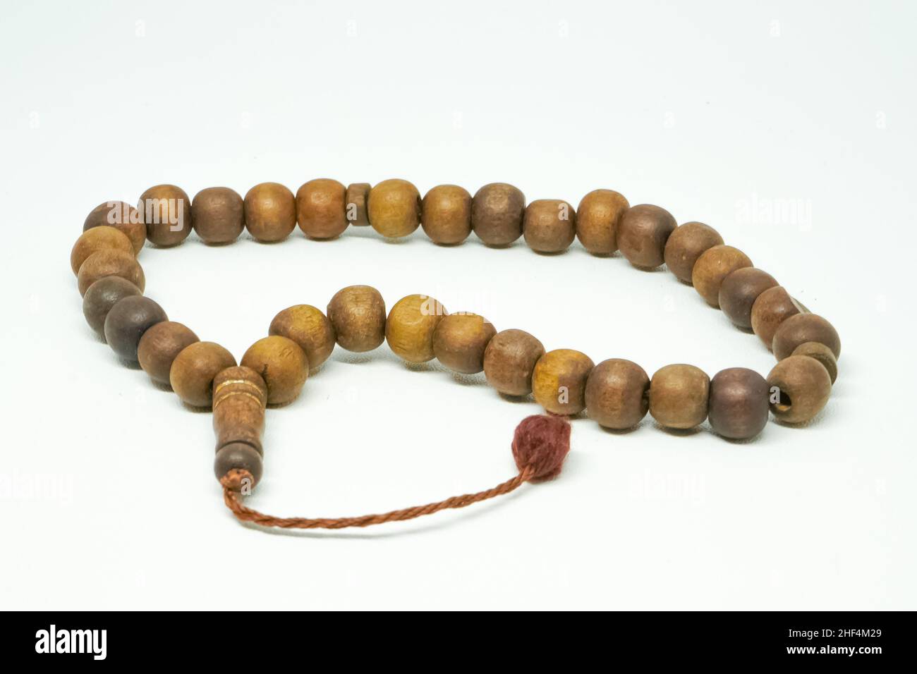 Camel bone hi-res stock photography and images - Alamy