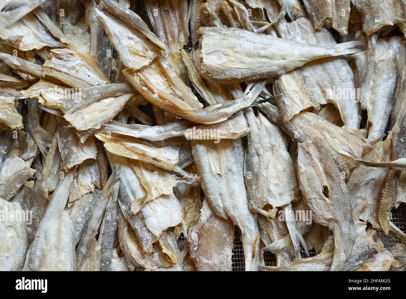 Rotting seafood hi-res stock photography and images - Alamy