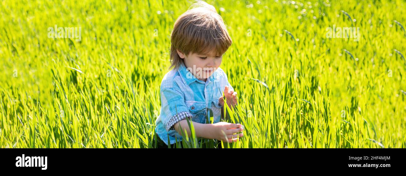 Banner with spring kids portrait. Little Farmer boy examining Common ...