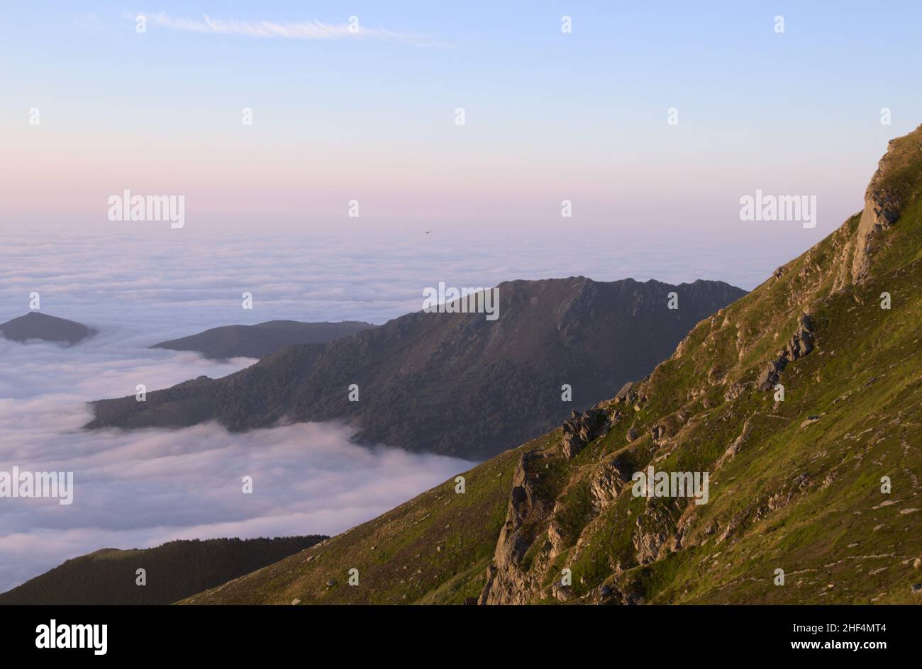 Developed using darktable 3.2.1 Stock Photo - Alamy