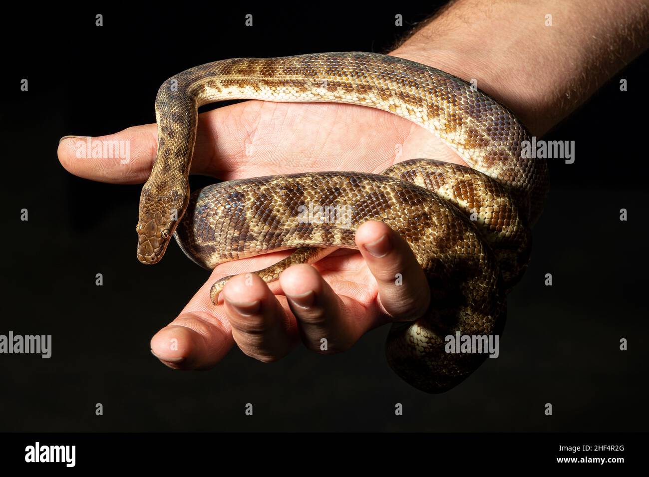 Spots around australia hi-res stock photography and images - Alamy