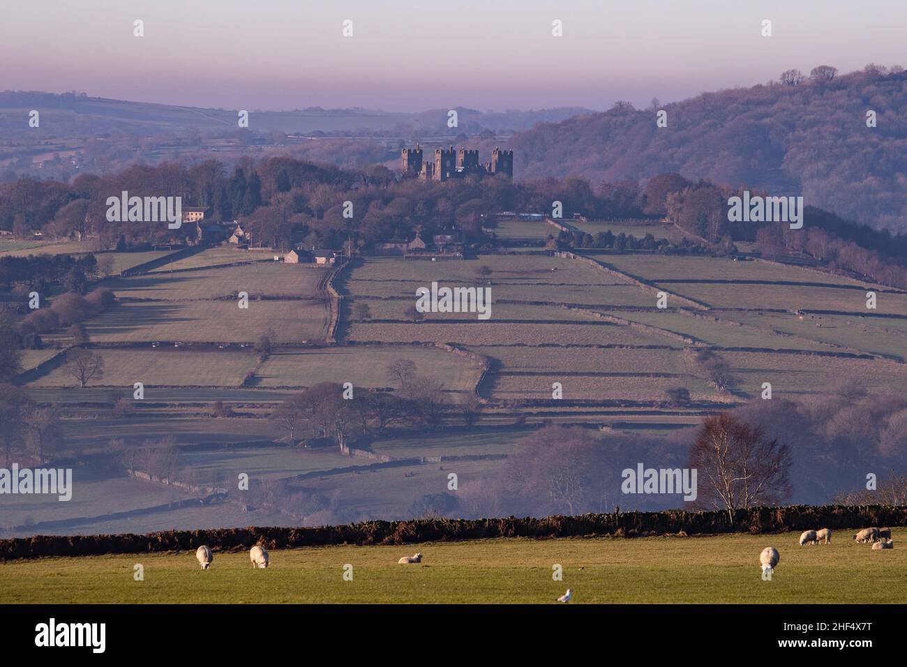 Riber zoo hi-res stock photography and images - Alamy