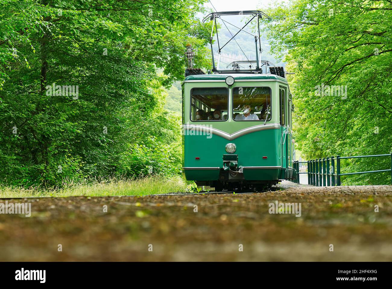 Small tourist green train in forest. Miniature narrow gauge train near ...