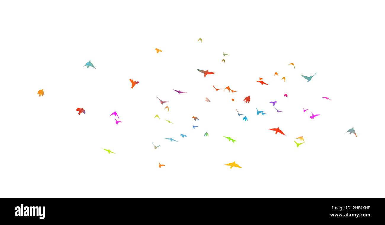 Multi-colored birds. A flock of flying rainbow birds. Vector ...