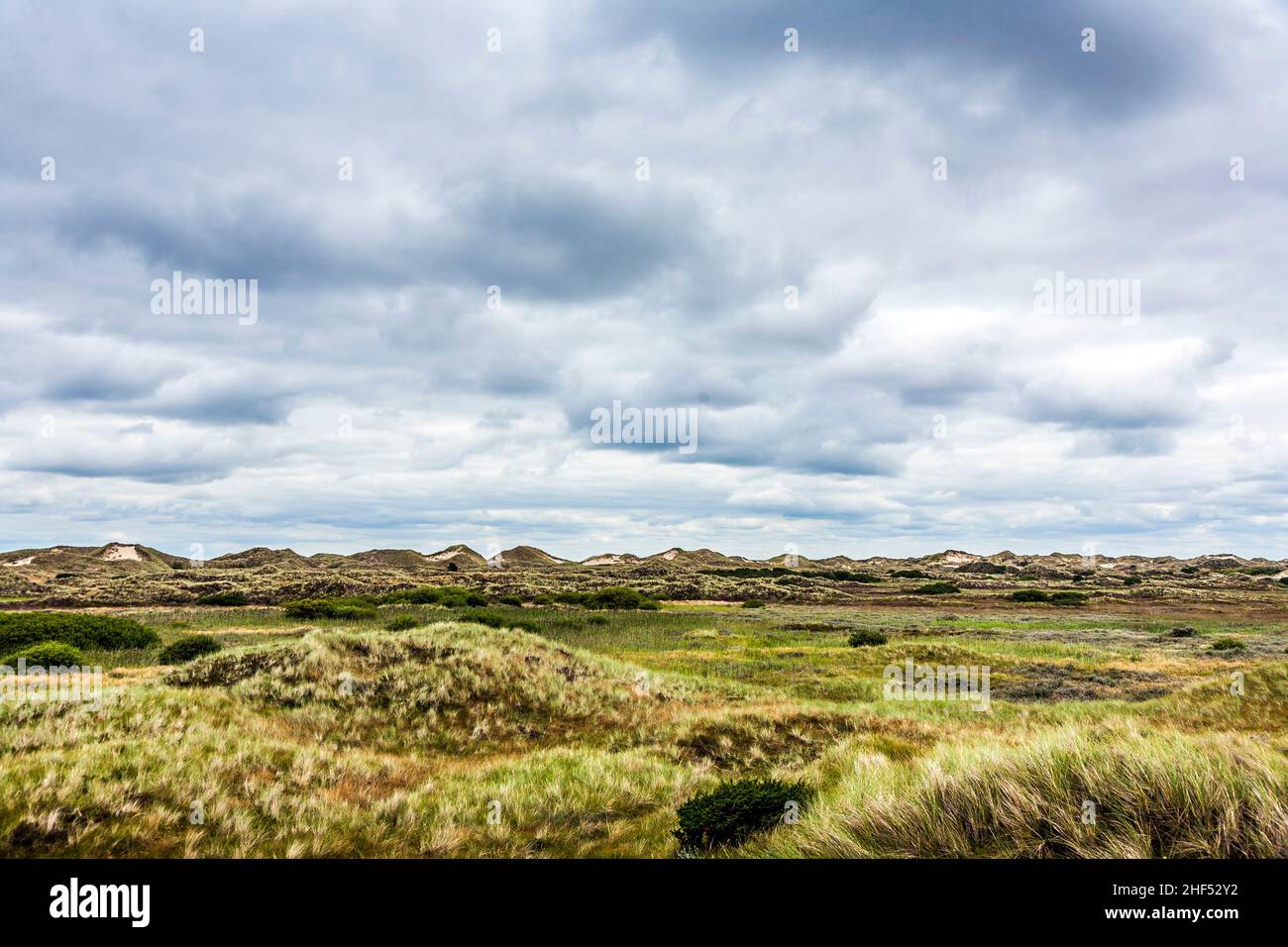 landscape at the island of fanoe in Denmark Stock Photo - Alamy