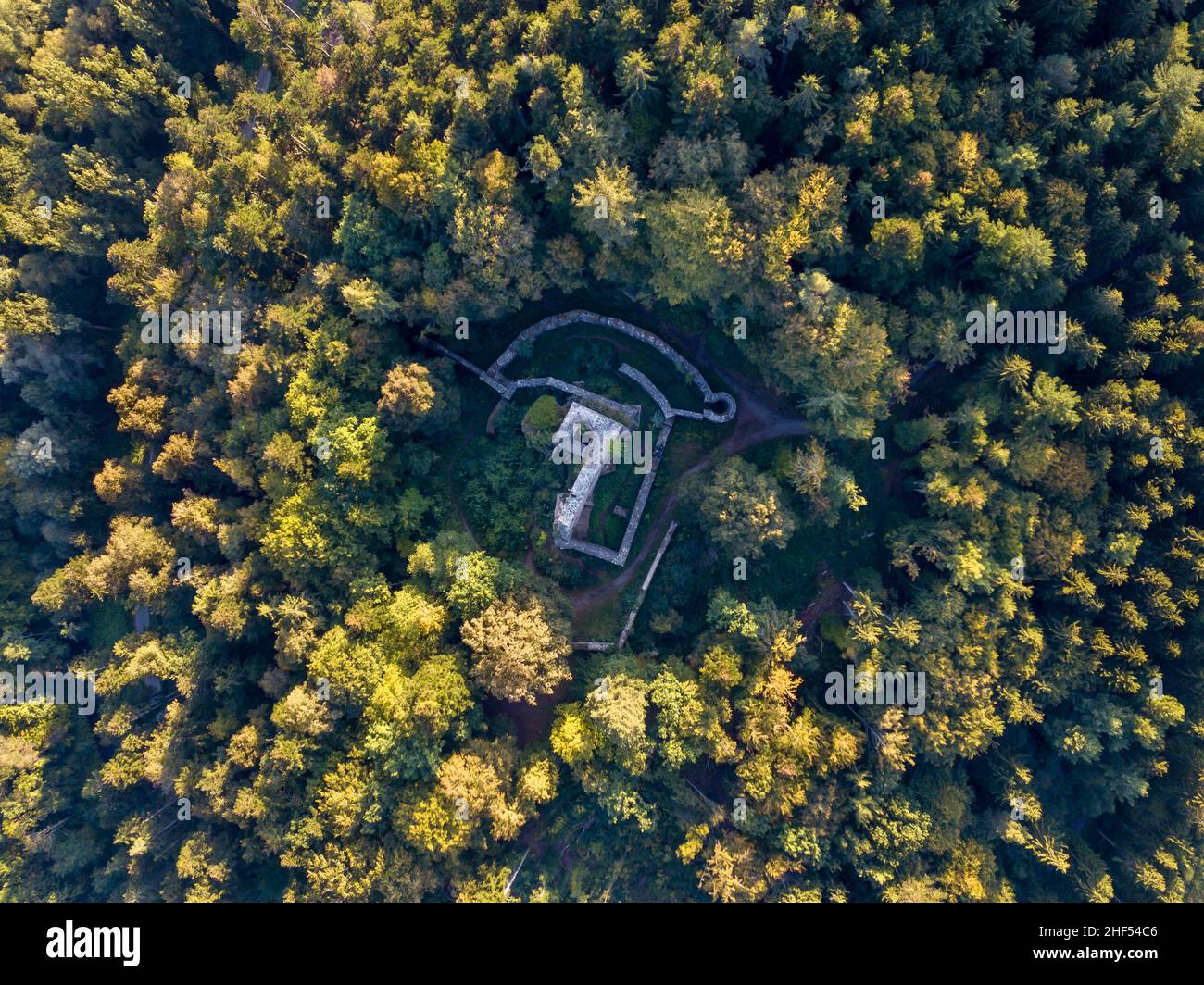 Castle ruins seen in a forst seen from above Stock Photo - Alamy