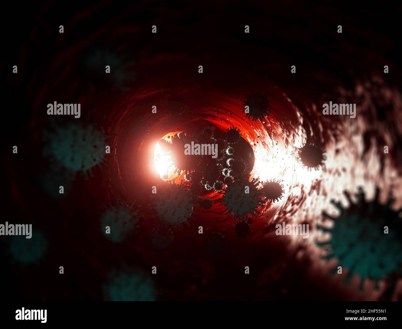 A concept showing coronavirus covid-19 particles inside a human organ ...