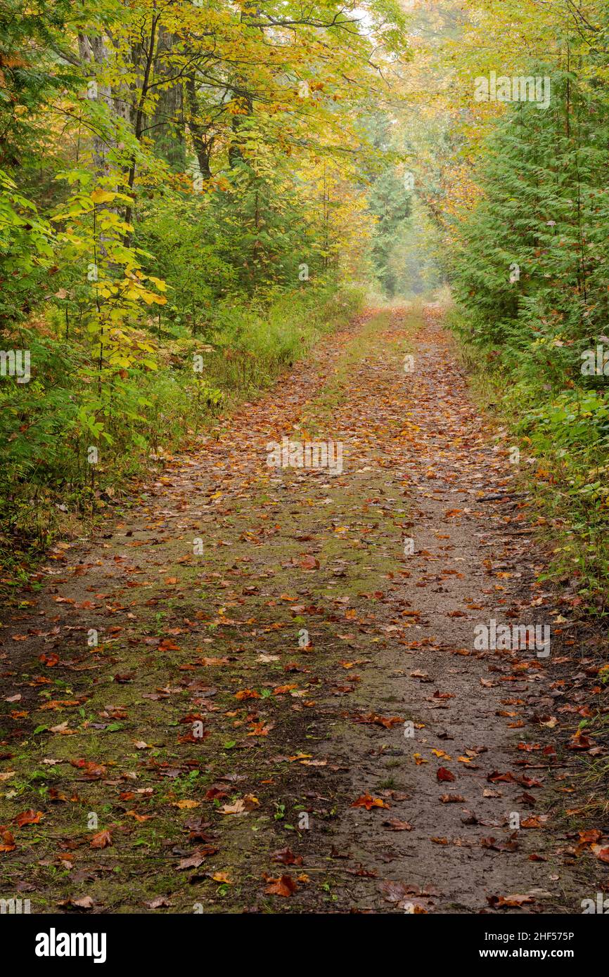 An example of the annual fall color display that happens each autumn in ...