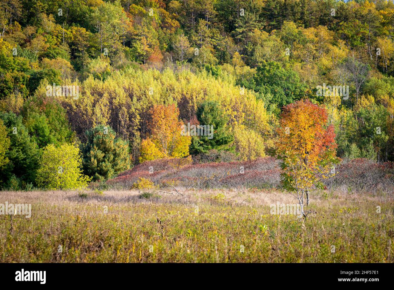 An example of the annual fall color display that happens each autumn in ...