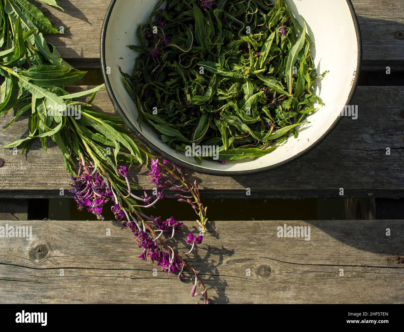 Process of fermentation of tea. Manual processing Ivan tea fermentation ...