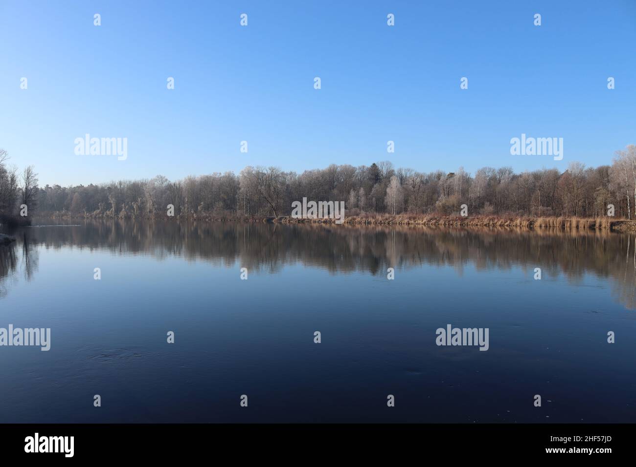 lake trees reflection sunshine january Stock Photo - Alamy