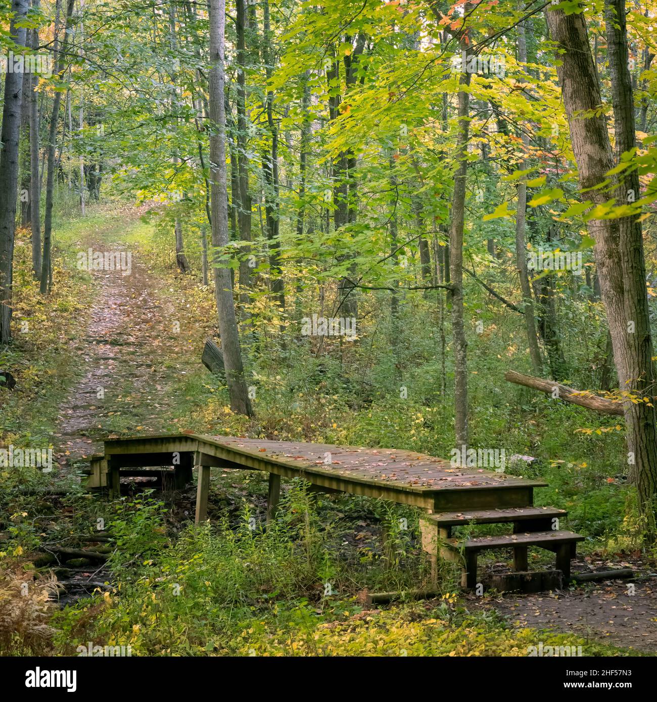 An example of the annual fall color display that happens each autumn in ...