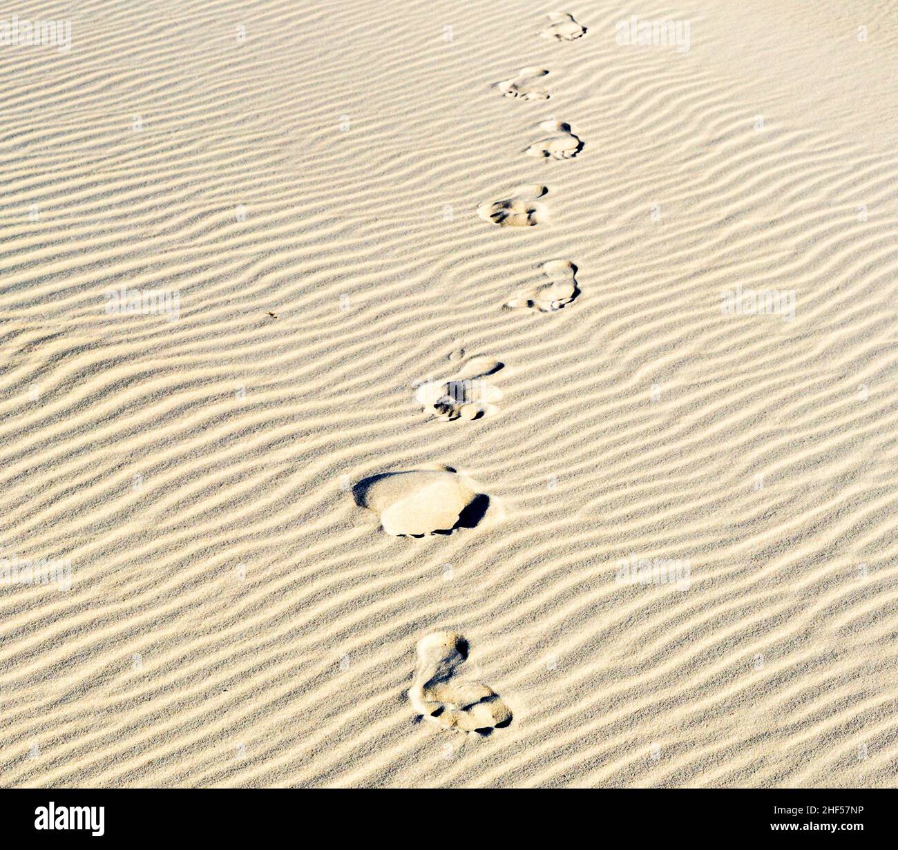 Abstract background of sand ripples at the beach with prints of feet ...