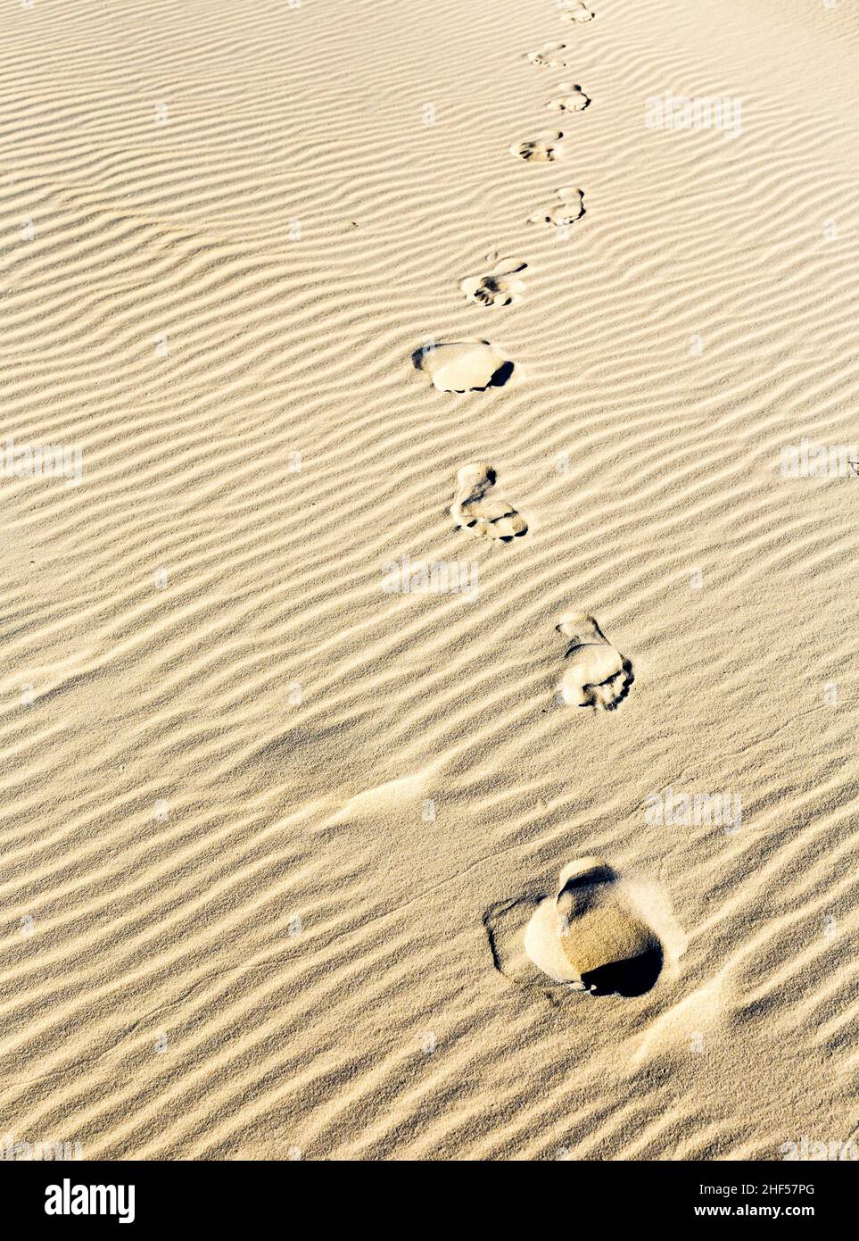 Abstract background of sand ripples at the beach with prints of feet ...