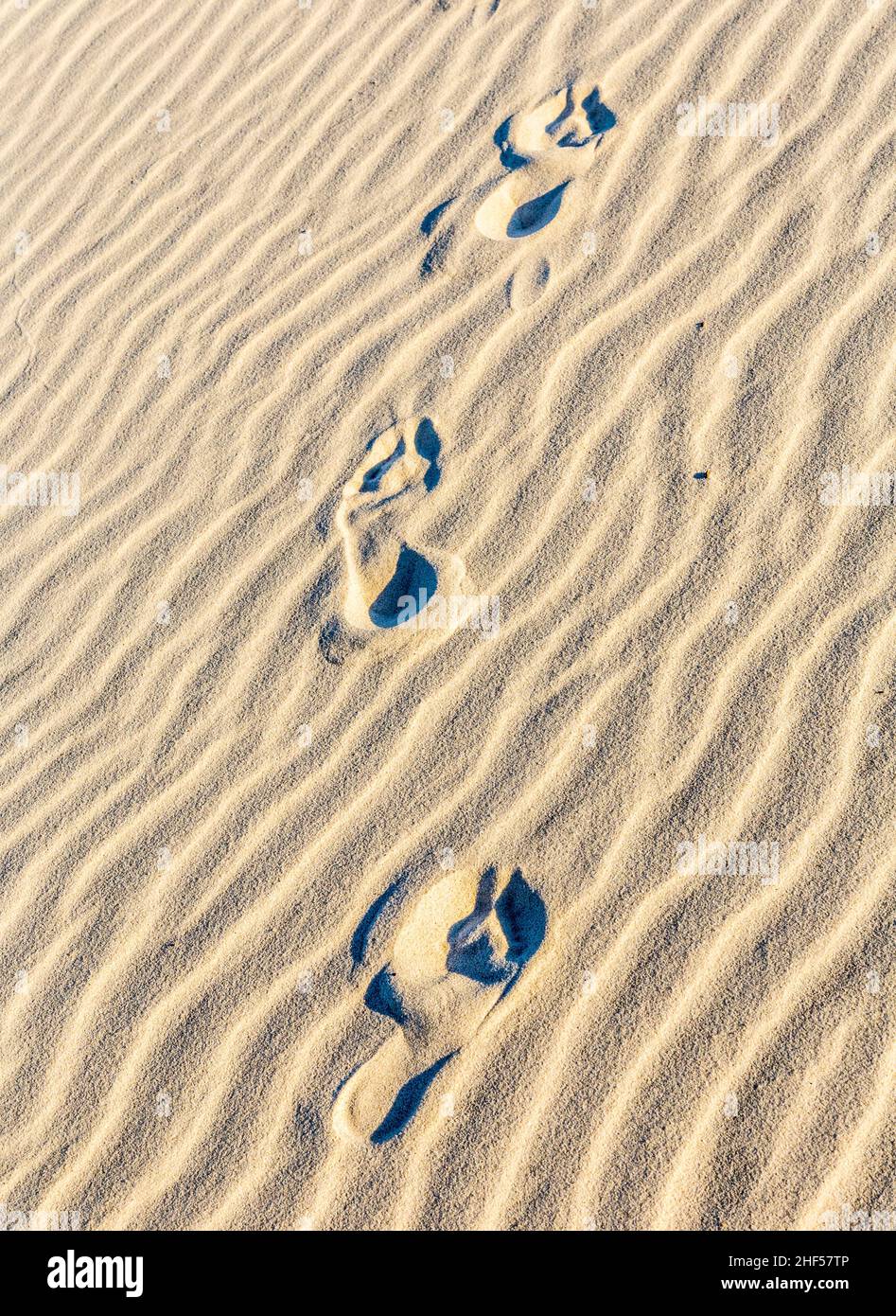 Abstract background of sand ripples at the beach with footsteps Stock ...
