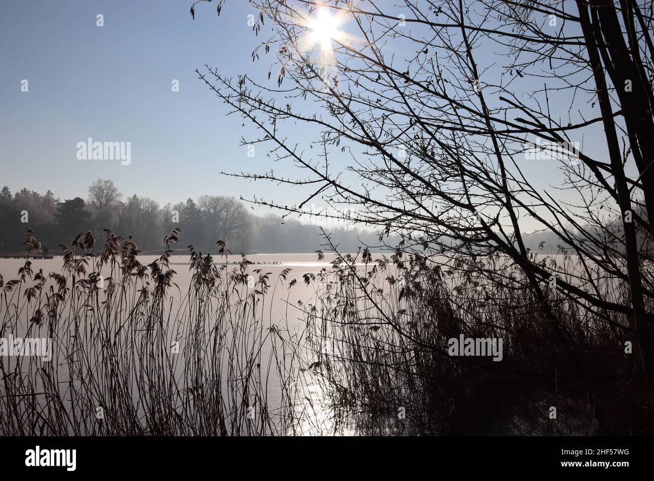 lake trees reflection sunshine january Stock Photo - Alamy