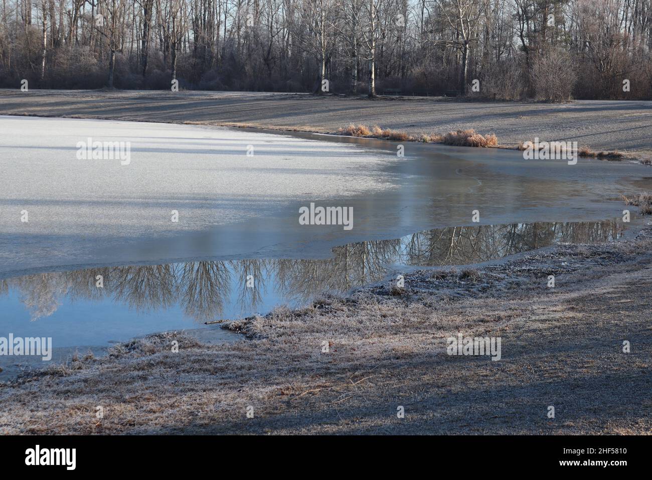 frozen lake trees sunshine january Stock Photo - Alamy