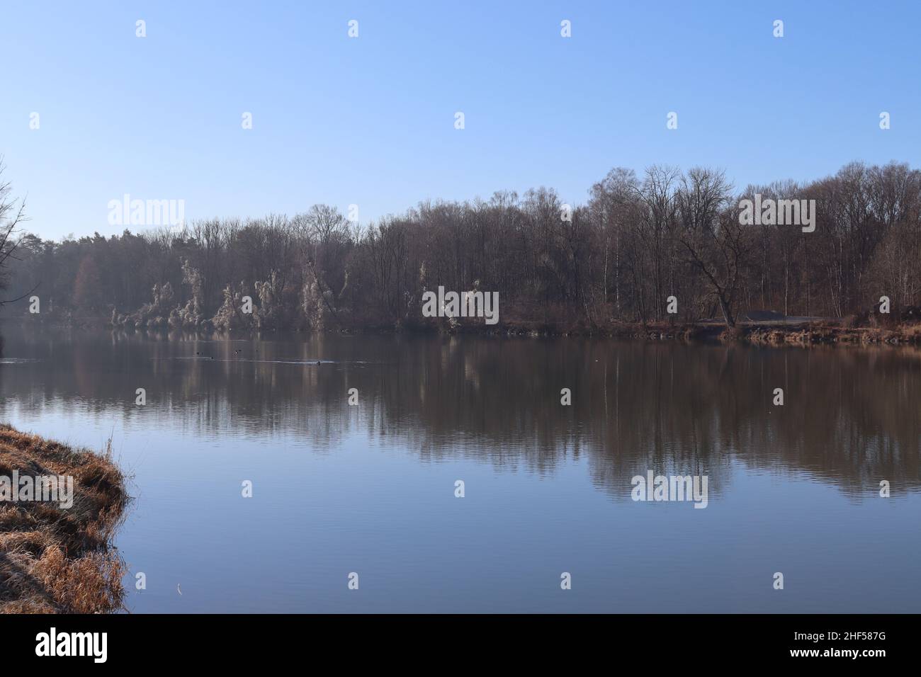 lake trees reflection sunshine january Stock Photo - Alamy