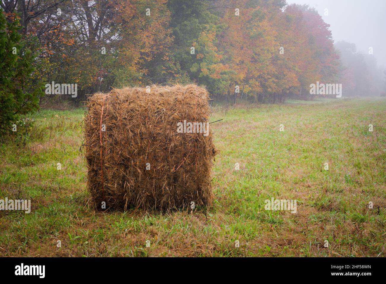 An example of the annual fall color display that happens each autumn in ...