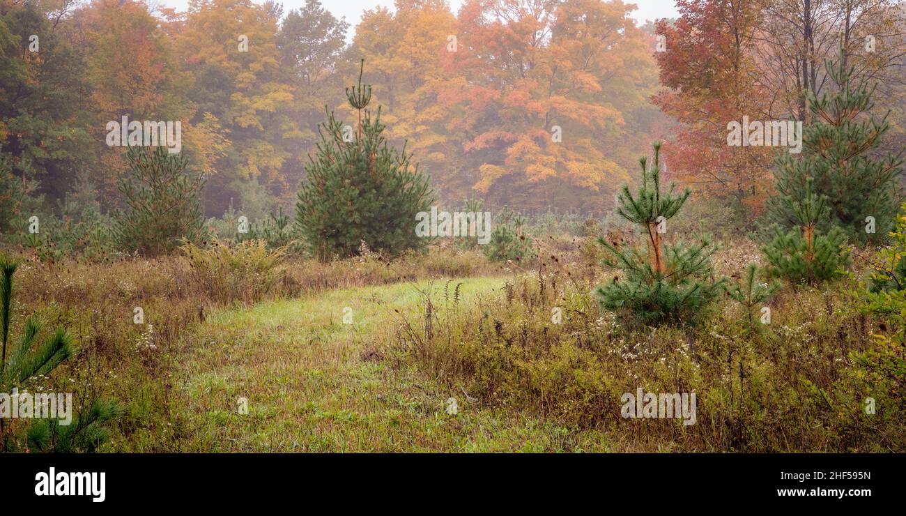 An example of the annual fall color display that happens each autumn in ...