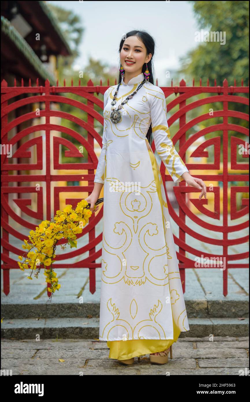 Ao Dai Traditional Dress | atelier-yuwa.ciao.jp
