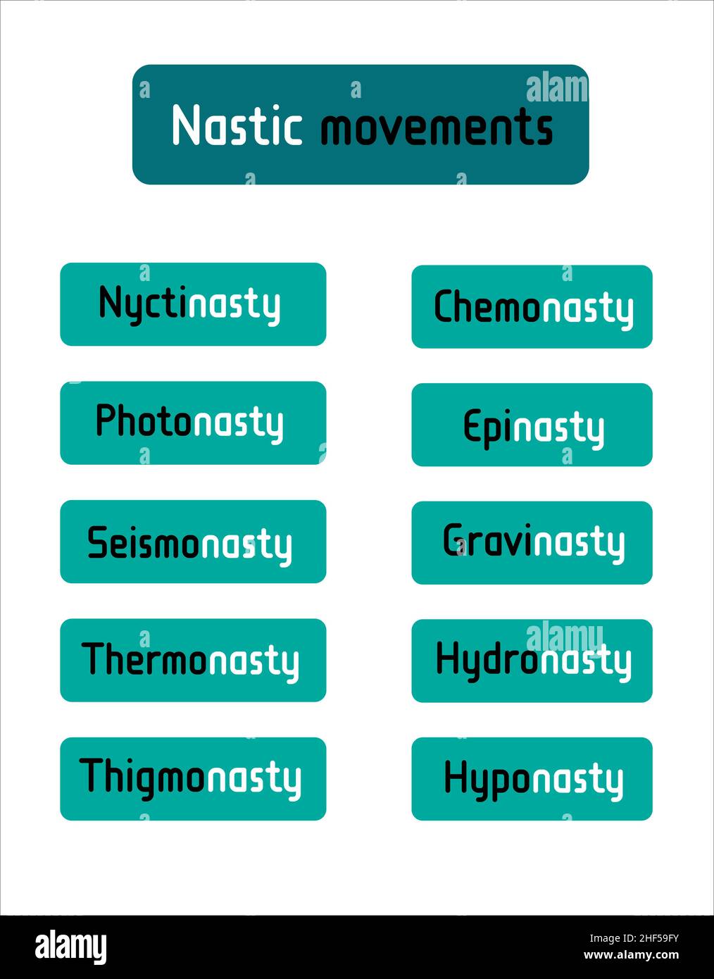 Different types of plants nastic movements. Education classification ...