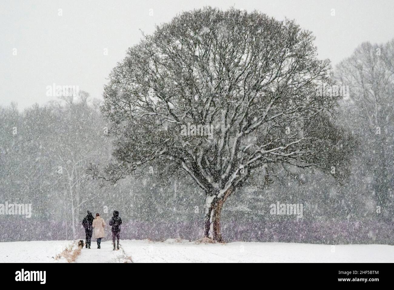 Walkers in the snow hi-res stock photography and images - Alamy
