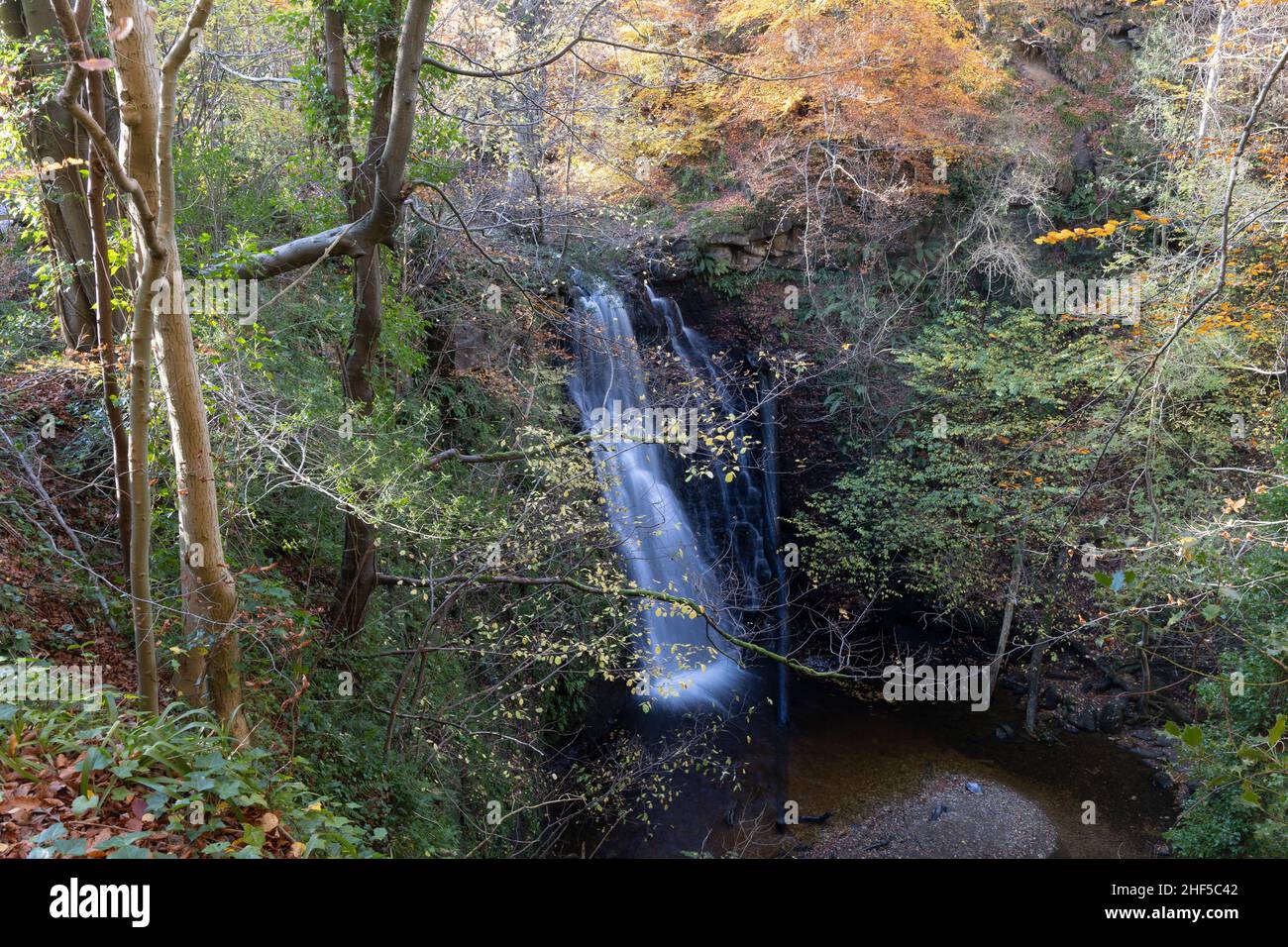Falling Foss Waterfall at Littlebeck near Whitby, North York Moors. At ...