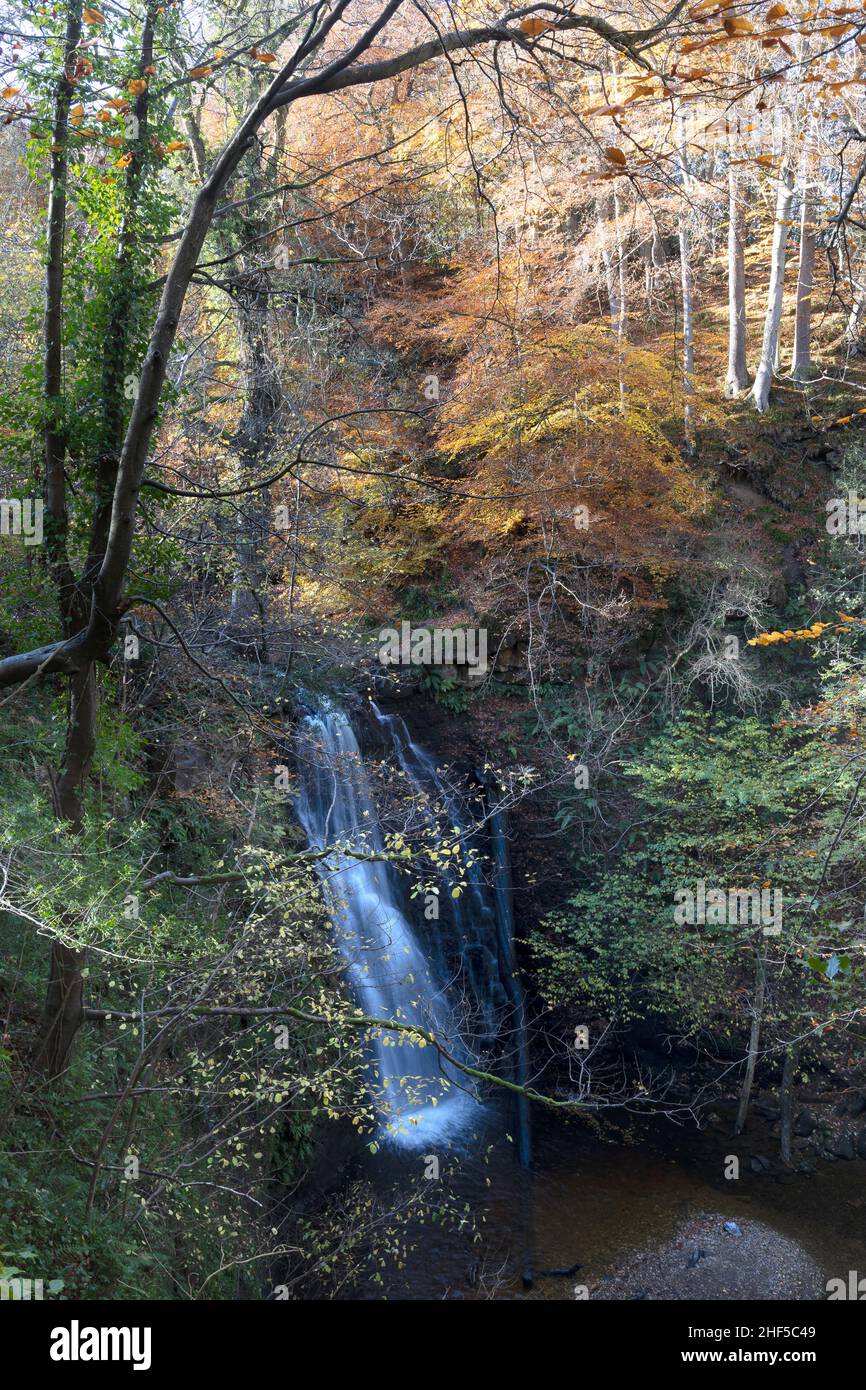 Falling foss whitby england hi-res stock photography and images - Alamy