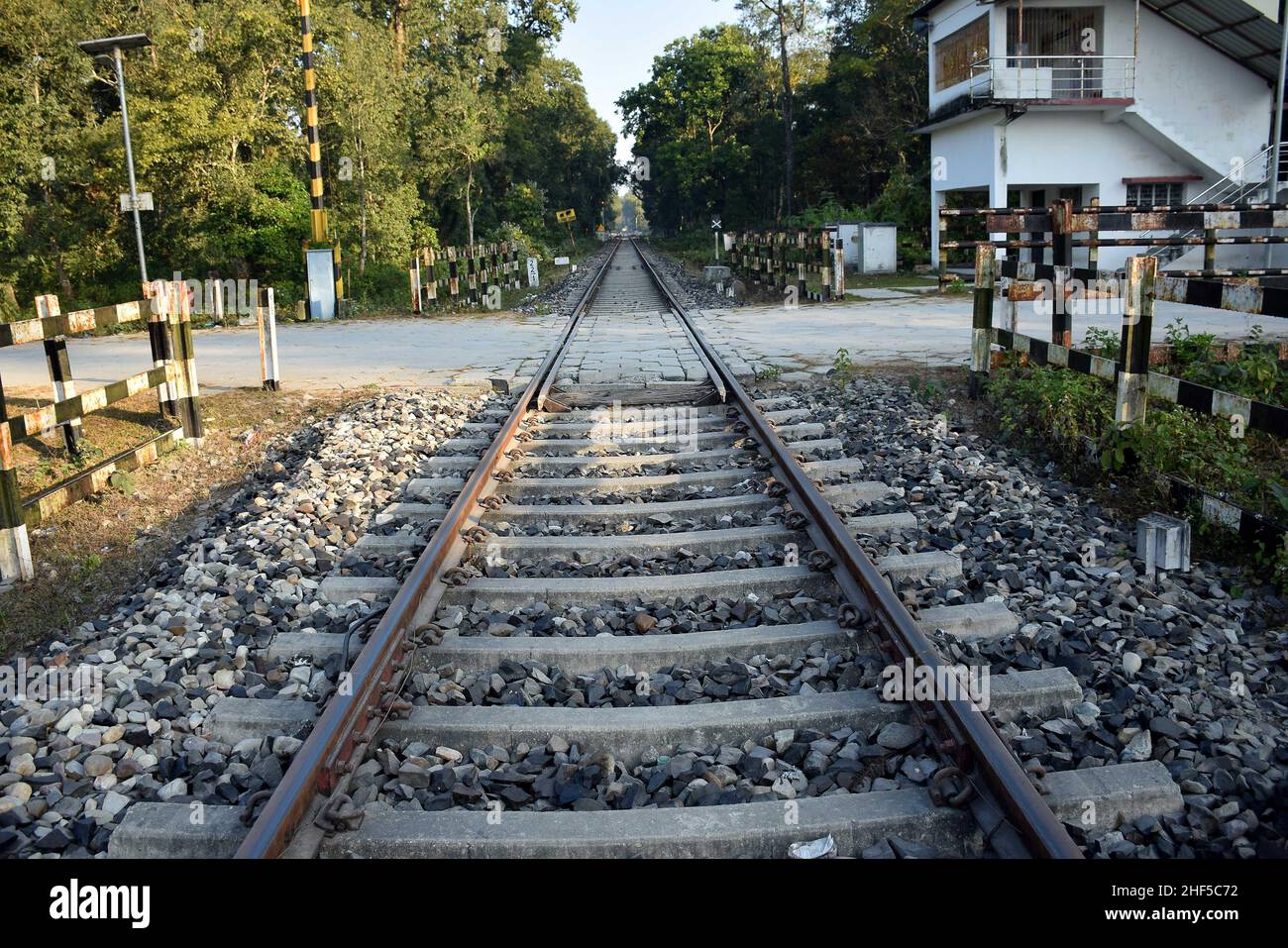 A railway line passes through a forest in India. Long shot Stock Photo ...