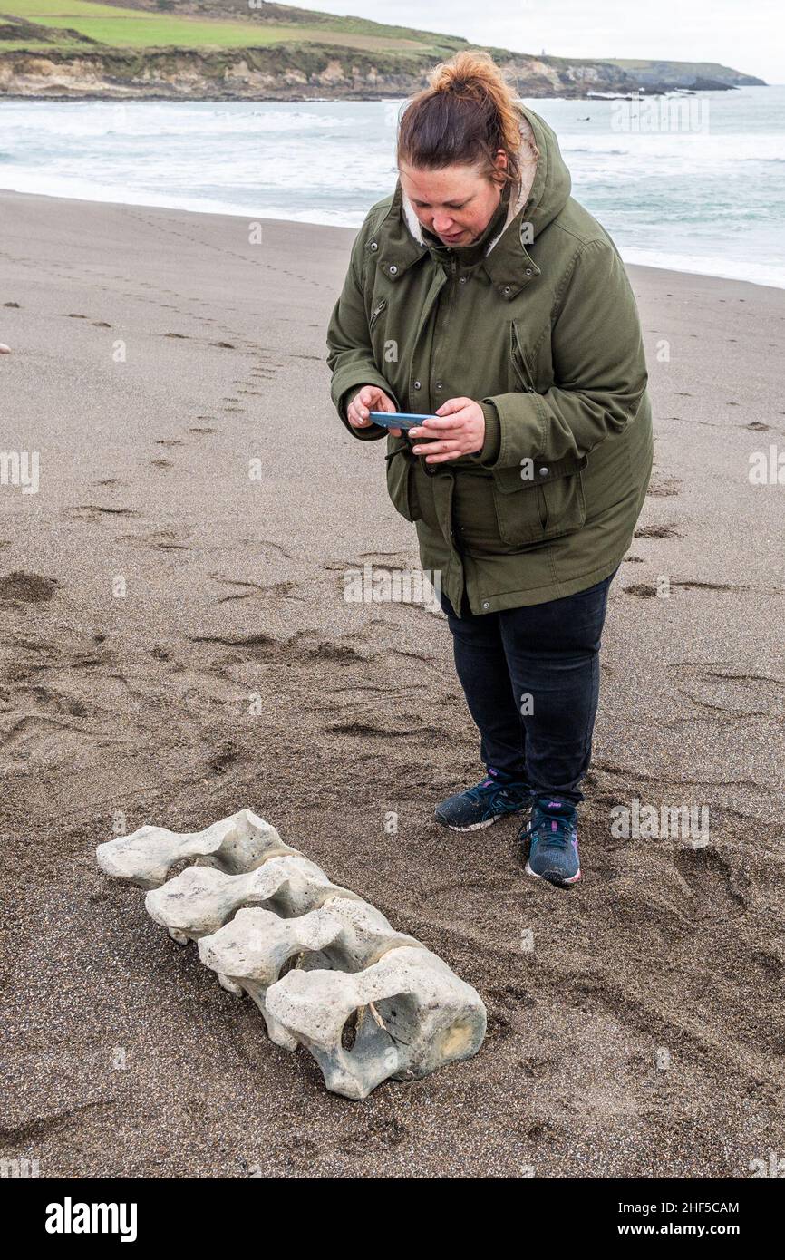 Long Strand, West Cork, Ireland. 14th Jan, 2022. Part of a whale's ...