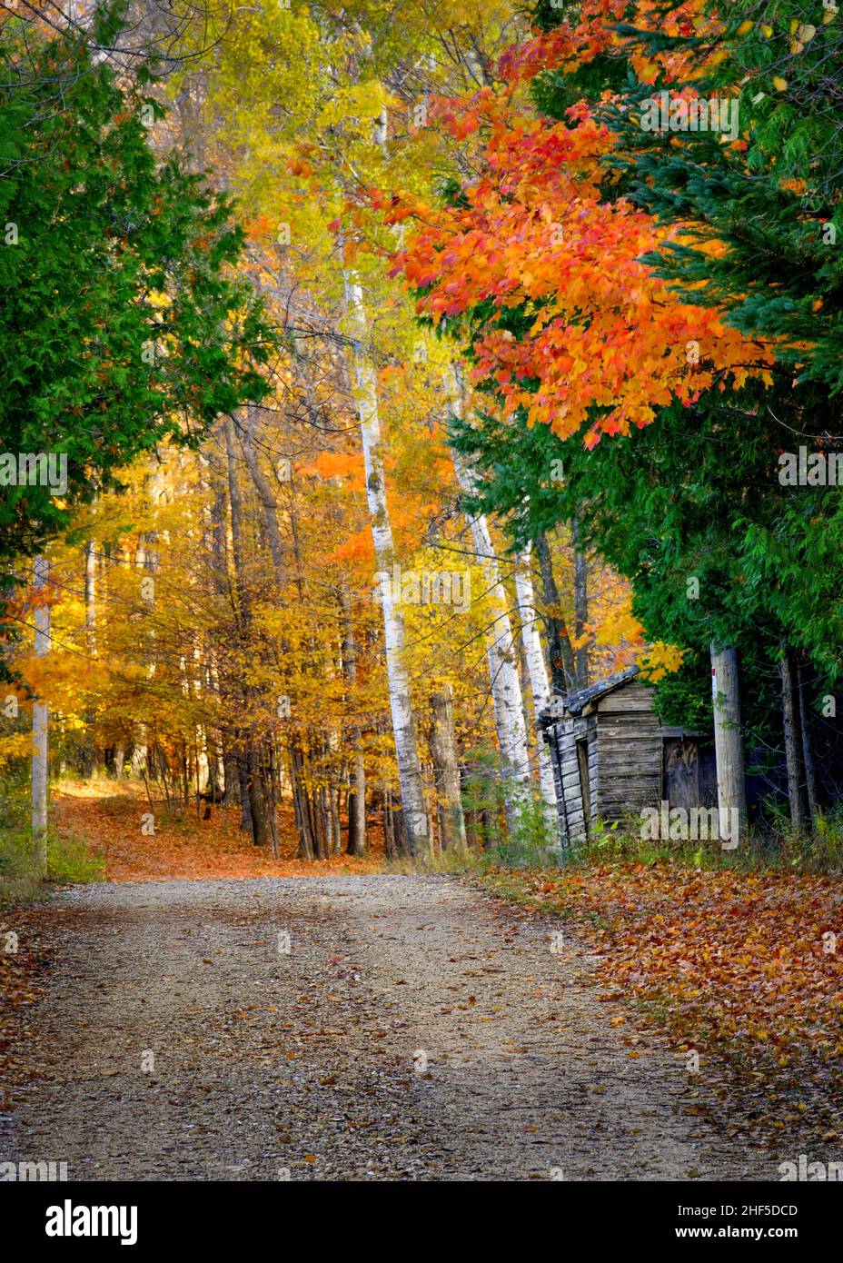 An example of the annual fall color display that happens each autumn in ...
