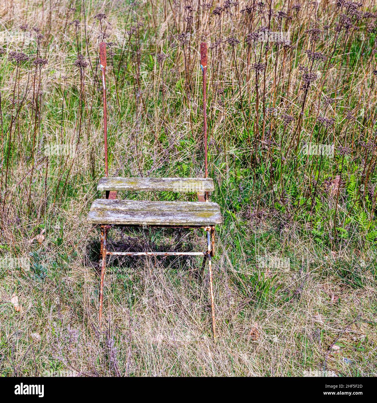 Rotten Wooden Chair High Resolution Stock Photography and Images - Alamy