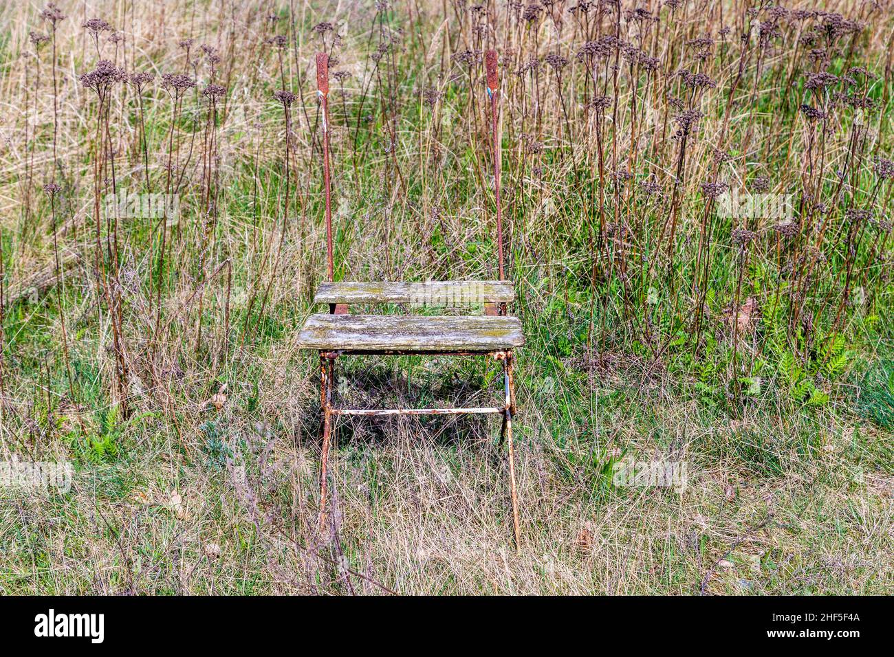 Rotten Wooden Chair High Resolution Stock Photography and Images - Alamy