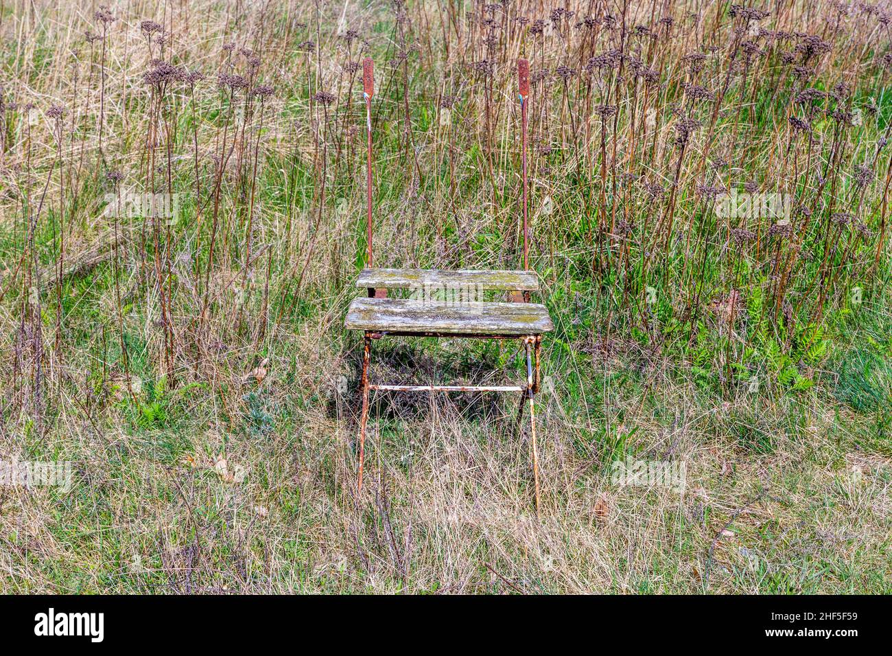 Rotten wooden chair hi-res stock photography and images - Alamy