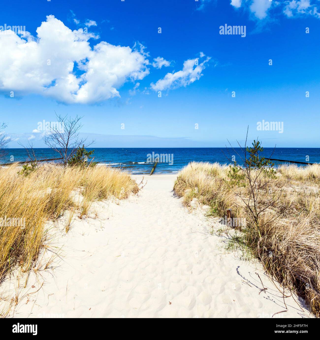 levee with sandy path to beach at baltic sea Stock Photo - Alamy