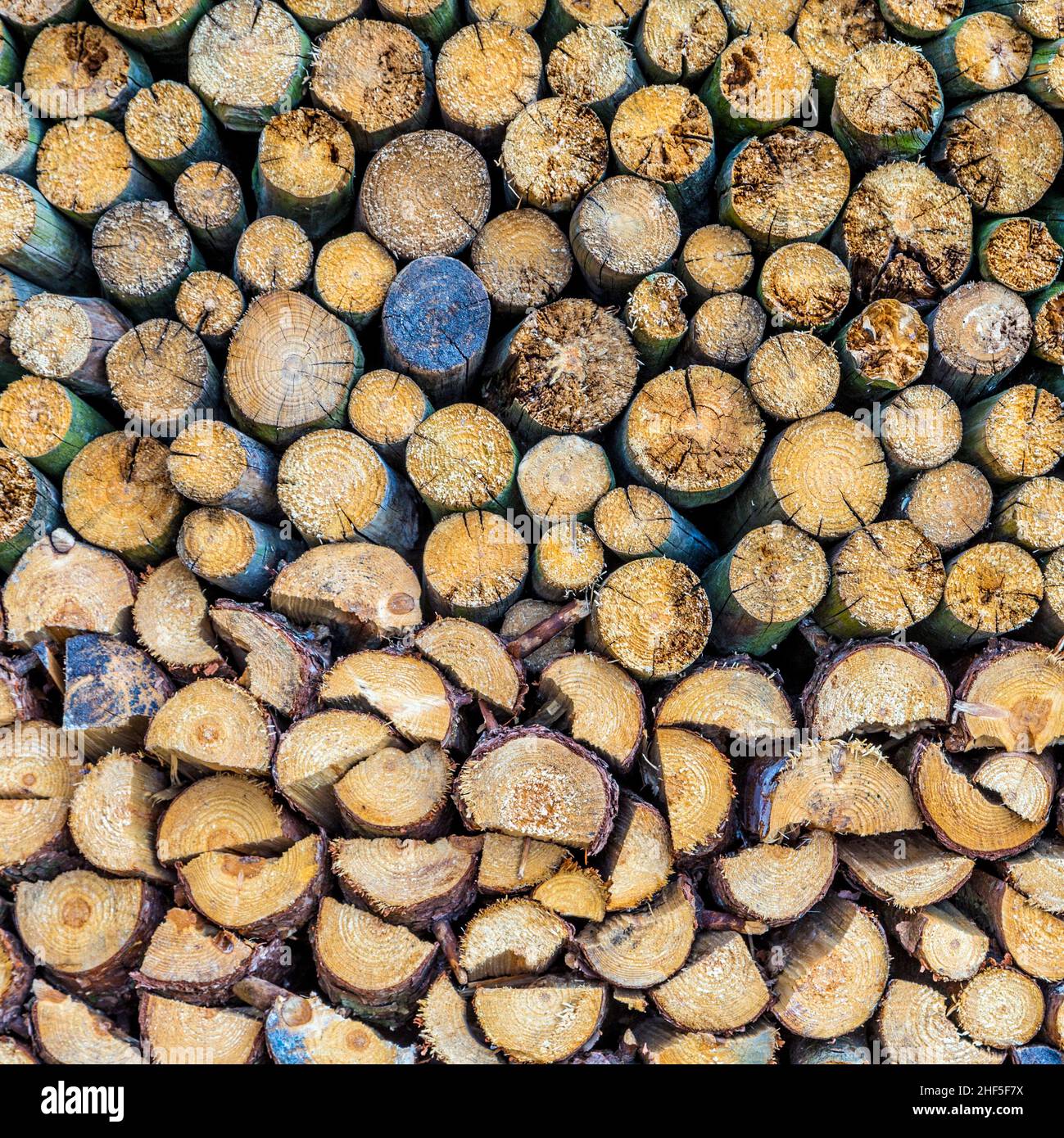 pattern of the wood pieces background Stock Photo - Alamy