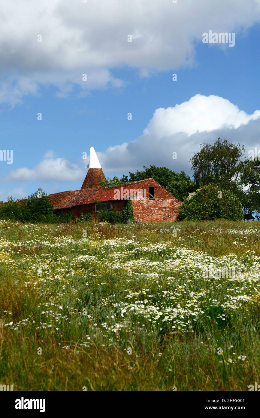 Oast house, barn and wildflower meadow next to High Weald Walk long ...