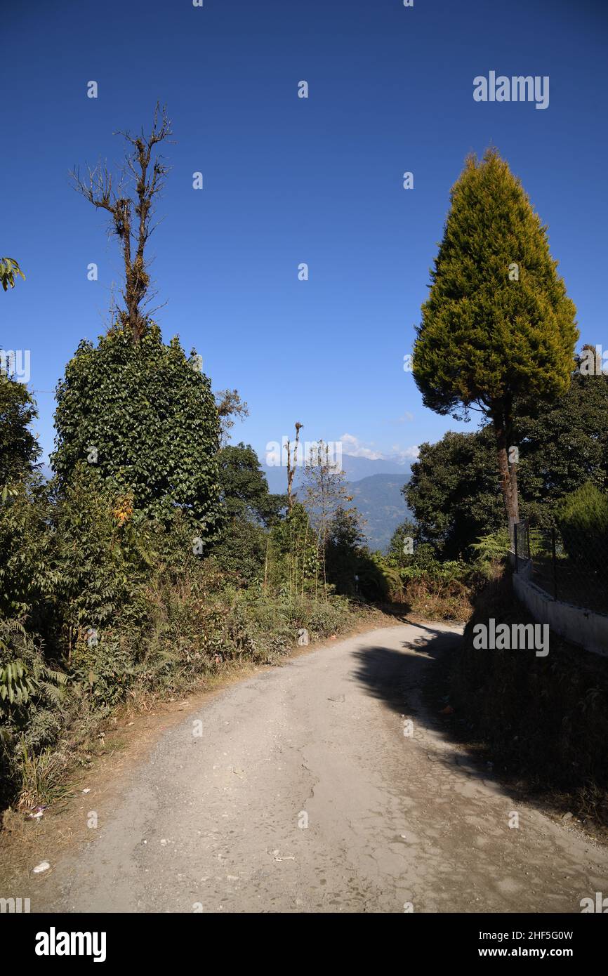 Local road of Rishyap, a small village and hill station in Kalimpong ...