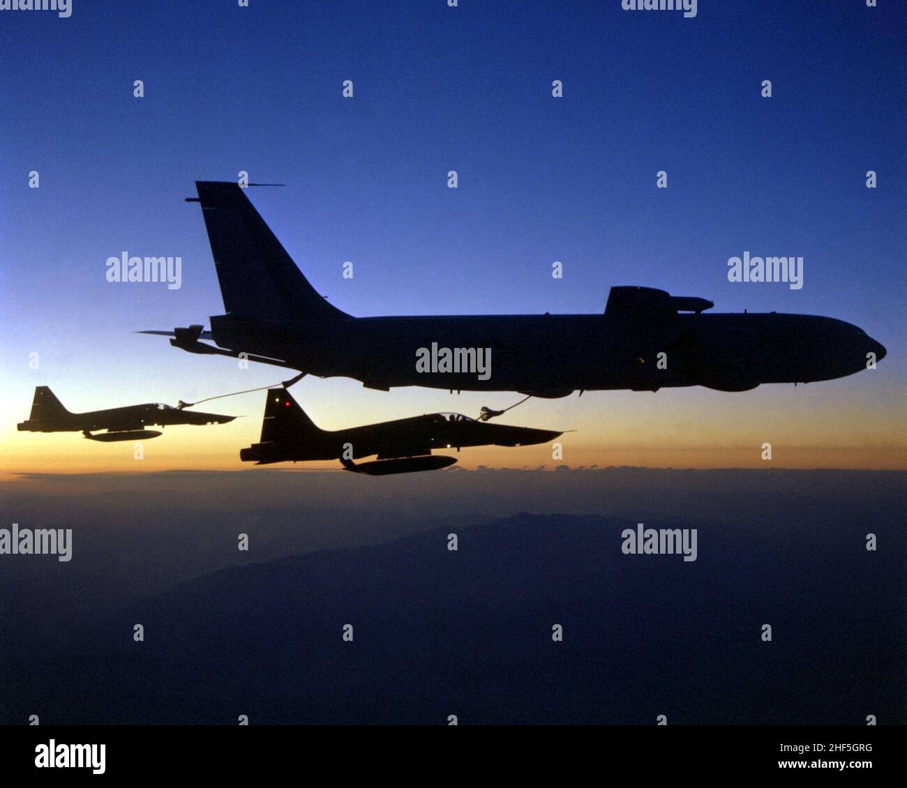 Saudi Tiger II Stock Photo - Alamy