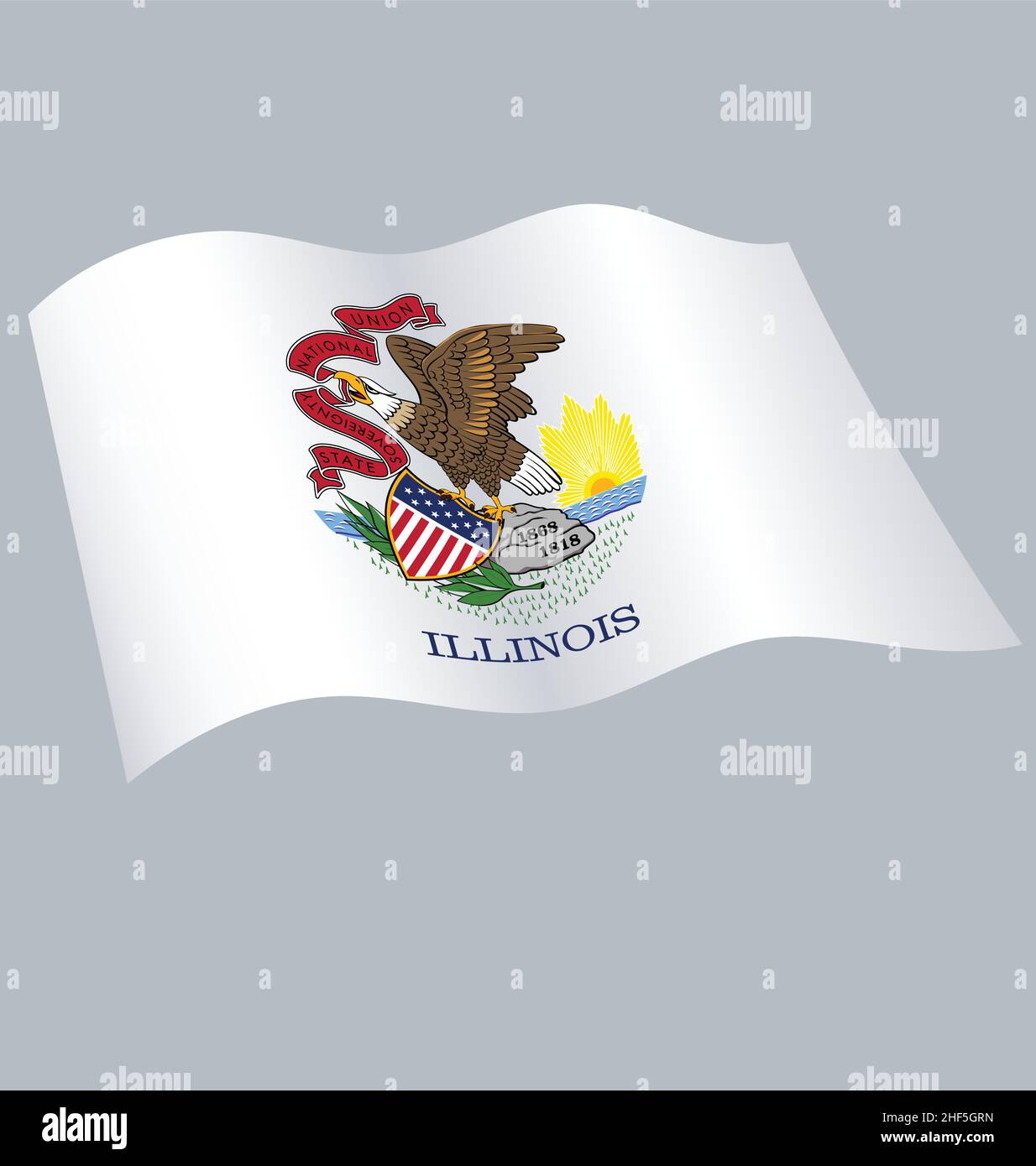 accurate correct illinois il state flag flying waving flowing vector ...
