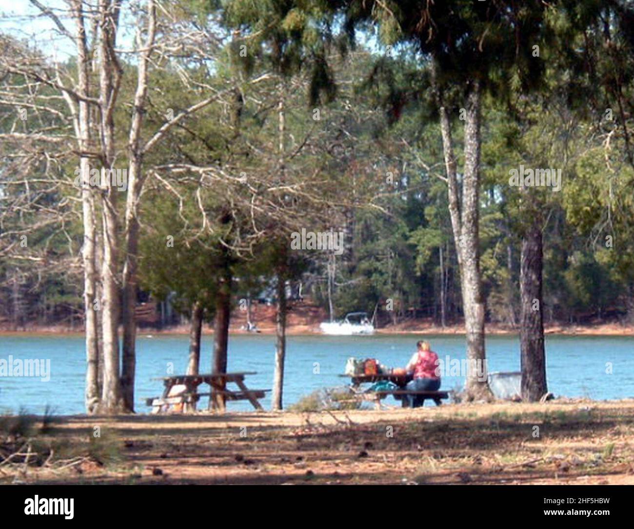 Savannah River Scenic Byway - Picnicking at Hamilton Branch State ...