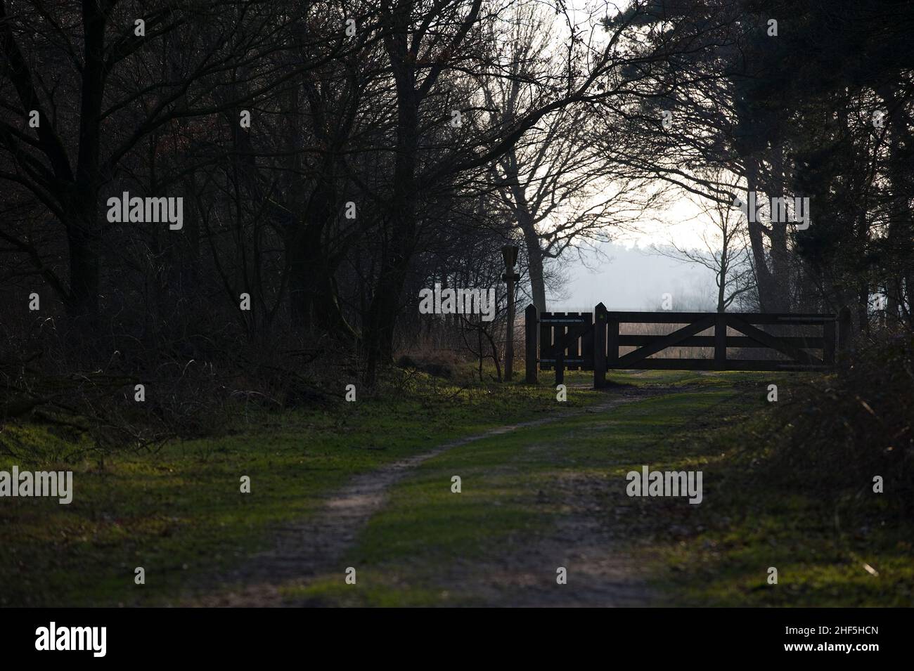 Regte Heide, Rijen, Netherlands. Forrest and Hiking path at Regte Heide ...