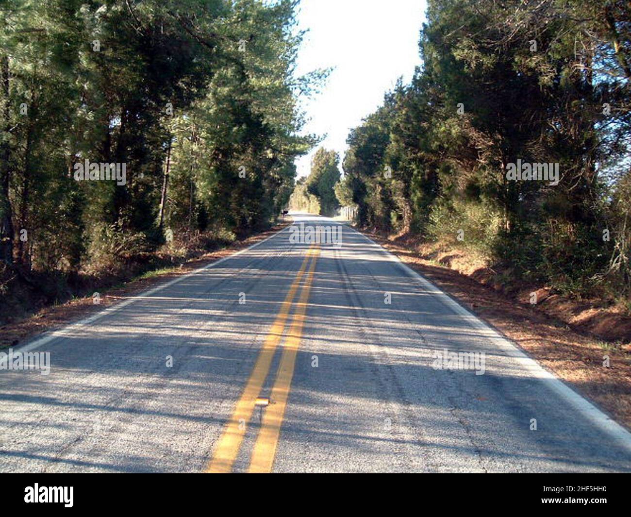 Savannah River Scenic Byway - Shady Drives Stock Photo - Alamy Savannah River Scenic Byway - Shady Drives Stock Photo - Alamy