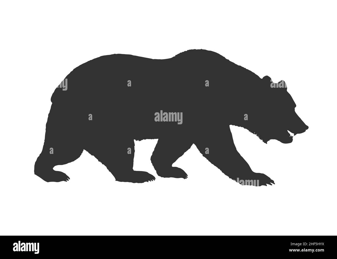 Standing Black Bear Silhouette